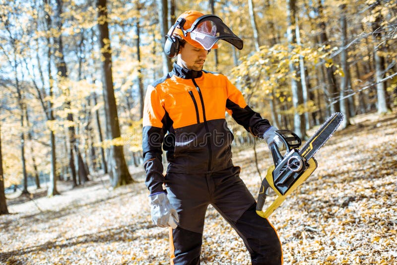 Professional Lumberjack in the Forest Stock Image - Image of nature ...