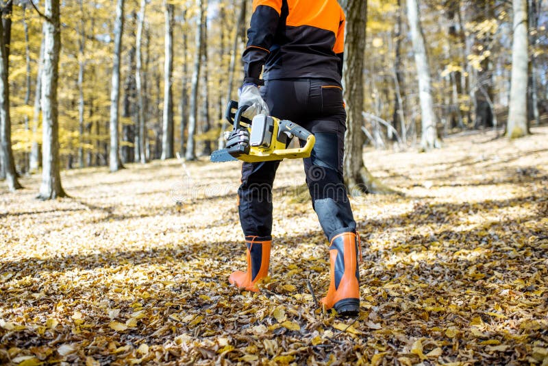 Professional Lumberjack in the Forest Stock Image - Image of ...