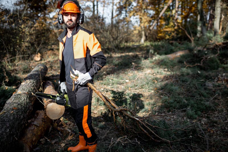 Professional Lumberjack Logging in the Forest Stock Photo - Image of ...