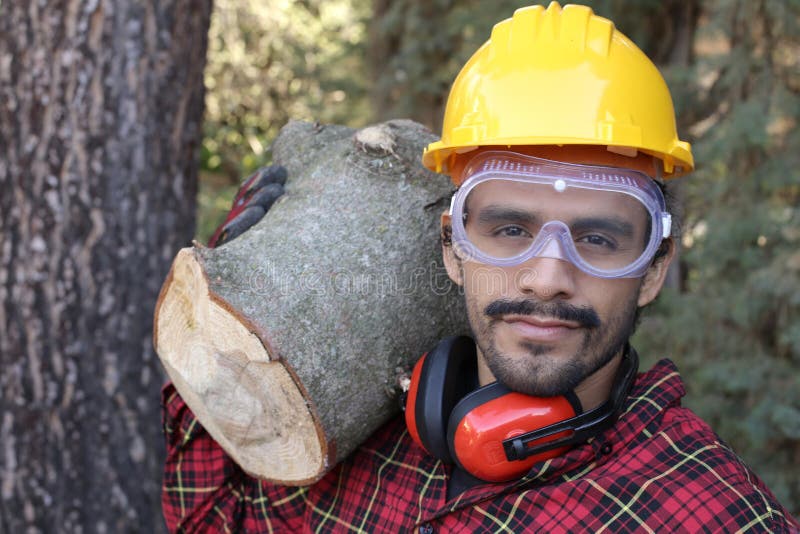 Professional Lumberjack in the Woods Stock Image - Image of male ...