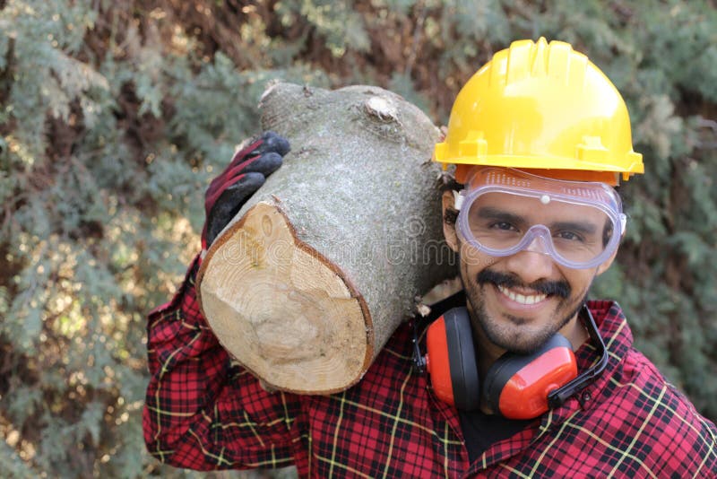 Professional Lumberjack in the Woods Stock Image - Image of carrying ...