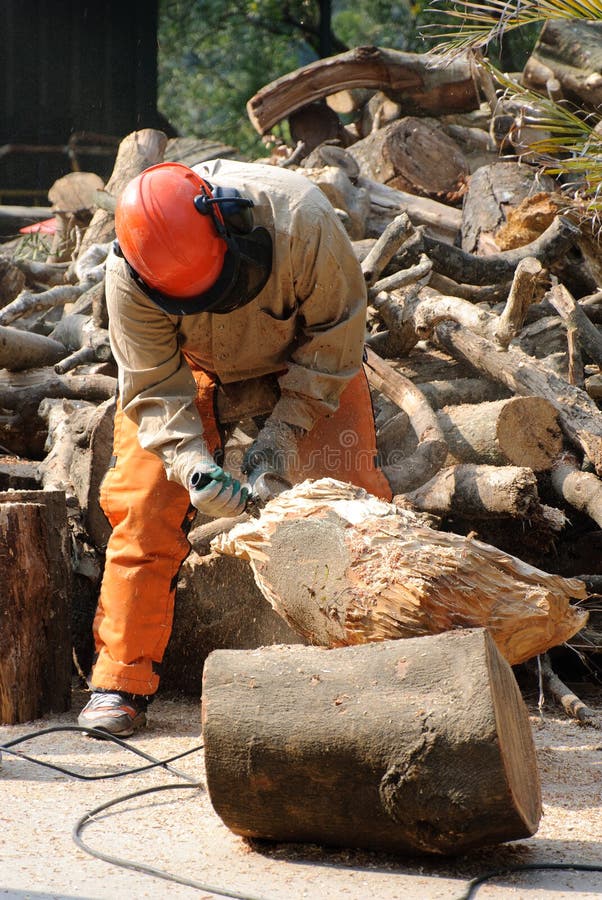 Professional Lumberjack Cutting a Big Tree Stock Image - Image of ...
