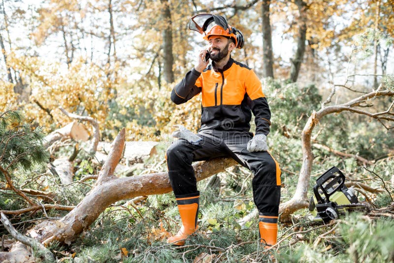 Professional Lumberman Resting in the Forest Stock Photo - Image of ...
