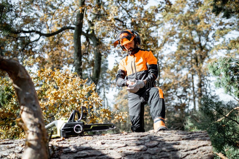 Professional Lumberman in the Forest Stock Photo - Image of protective ...