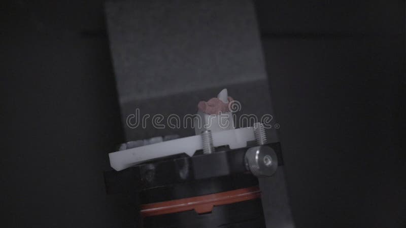 Professional Machine Scanning a Teeth To Make 3D Model. Artificial ...