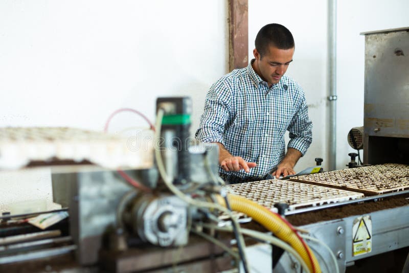 Professional Man Adjusting Machine Automatic Filling and Seeding Line ...