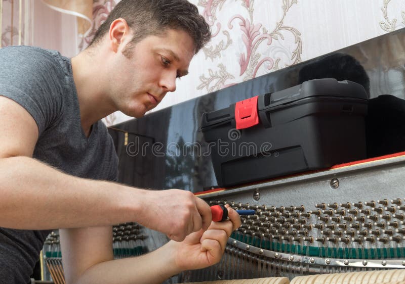 Professional Master Tuning the Piano Stock Image - Image of craftsman ...