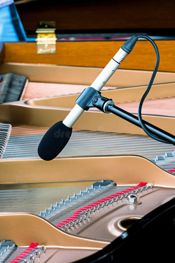 Professional Microphone Standing Above Strings of Grand Piano Stock ...