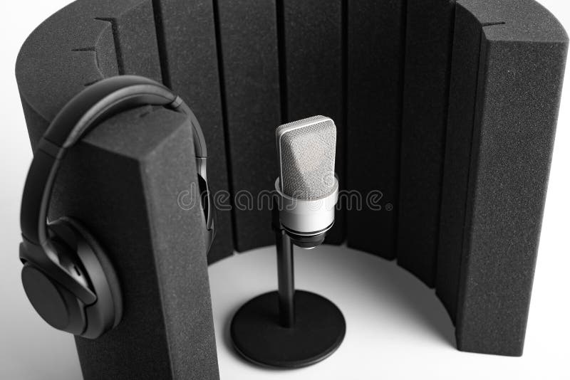 Professional Microphone and a Studio Microphone Screen for Recording in ...