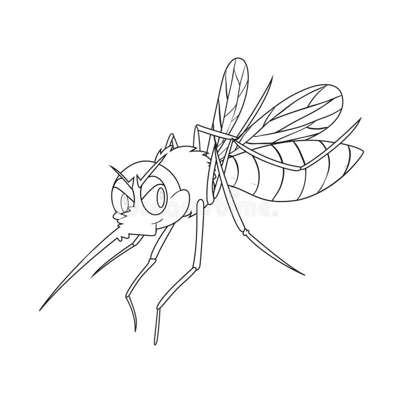 Professional Mosquito Vector Line Art Stock Vector - Illustration of ...