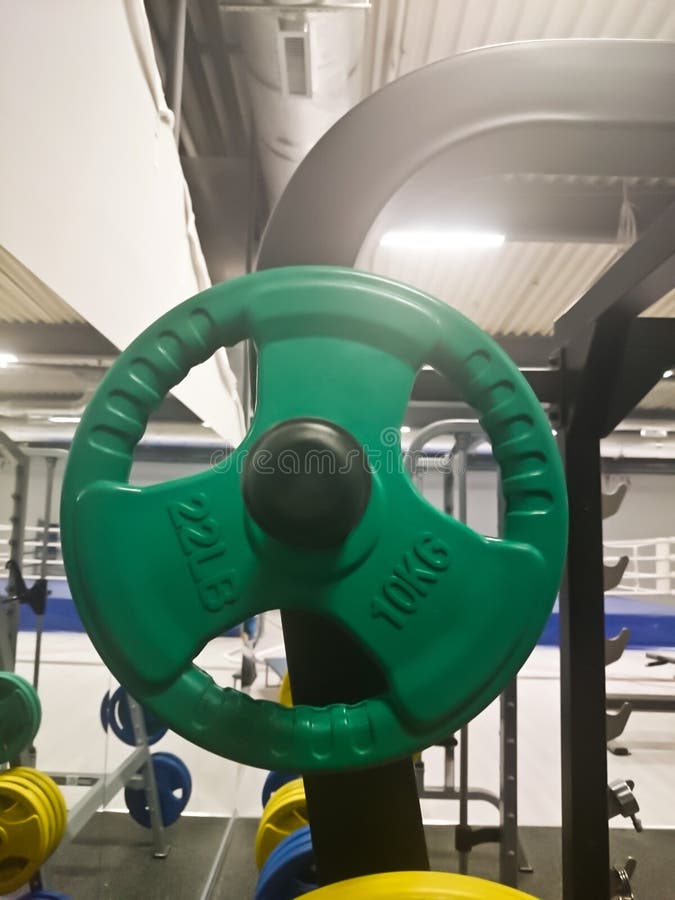 Professional Olympic Disk for Rod Stock Image - Image of athletic, body ...