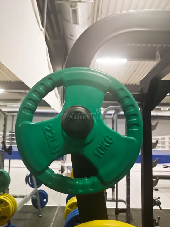 Professional Olympic Disk for Rod Stock Image - Image of athletic, body ...