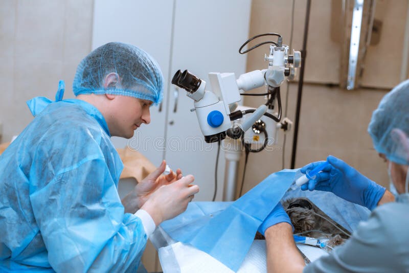 A Professional Ophthalmologist Performs Eye Surgery with a Microscope ...