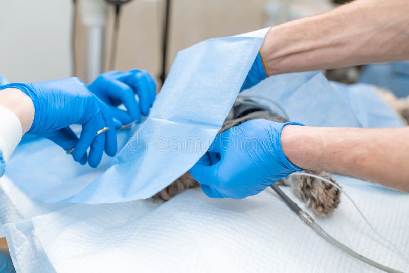 A Professional Ophthalmologist Performs Eye Surgery with a Microscope ...