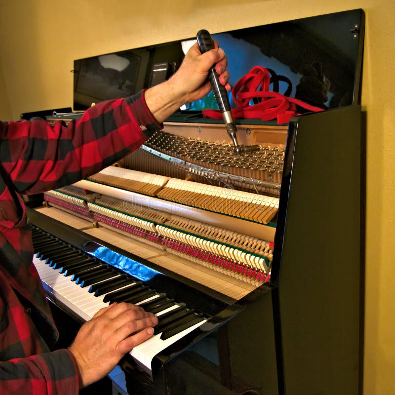 Professional Piano Technician Playing Keys and Tuning Strings with Tool ...