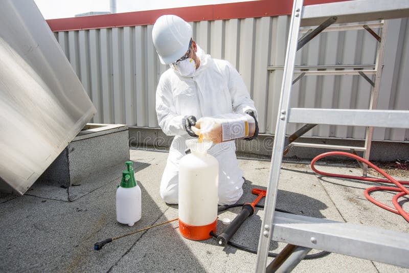 Professional in Protective Uniform, Mask, Gloves in the Roof for ...