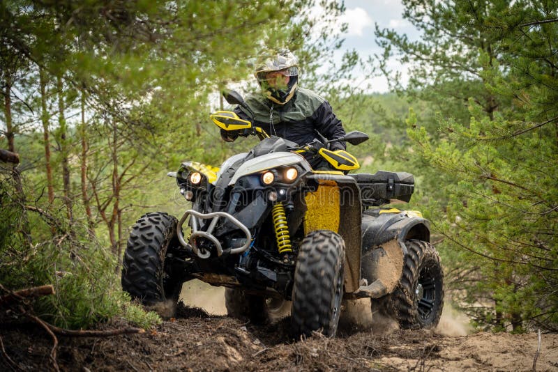 Professional Quad Biker Rides in Forest. Quad Racing, ATV 4x4 Stock ...