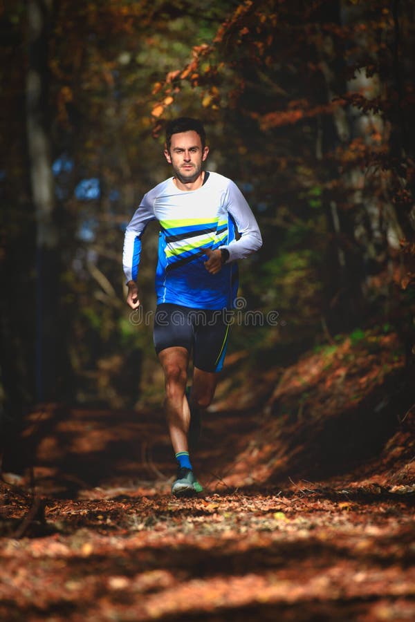 Professional Runner in the Woods during a Workout Stock Photo - Image ...
