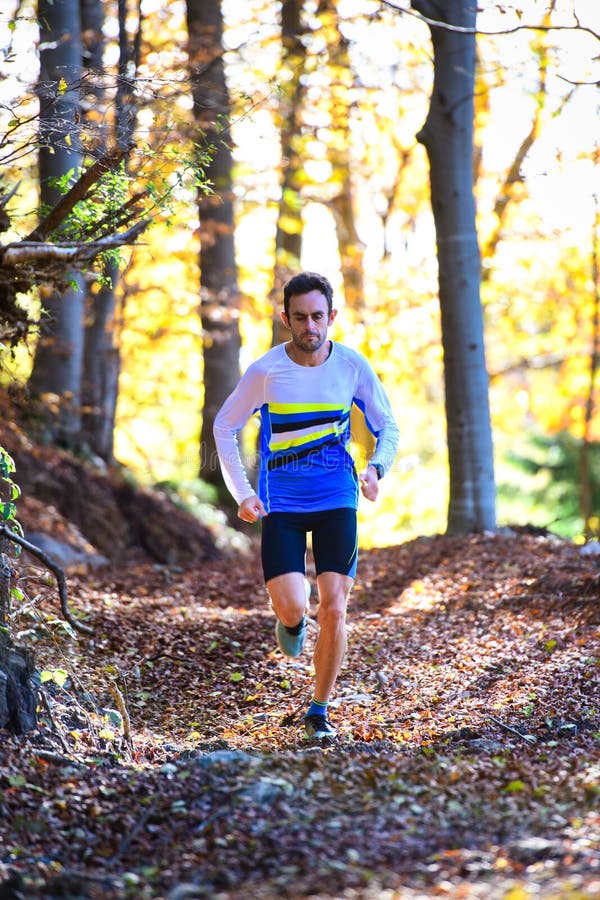 Professional Running Athlete Trains among the Leaves of the Woods Stock ...