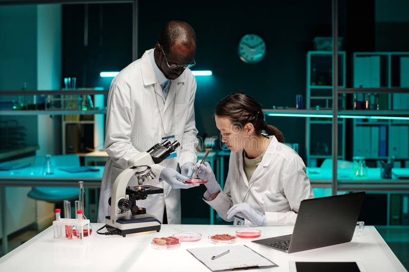 Professional Scientists Working on Scientific Project Together Stock ...