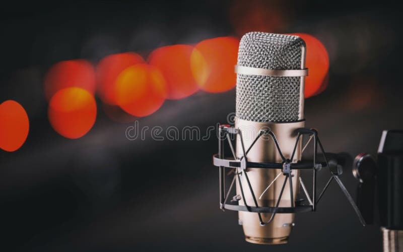Professional Sound Recording Microphone Stock Illustration ...