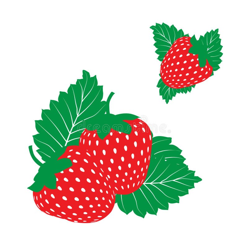 Professional Strawberry Vectors and Illustrations Image Stock Vector ...