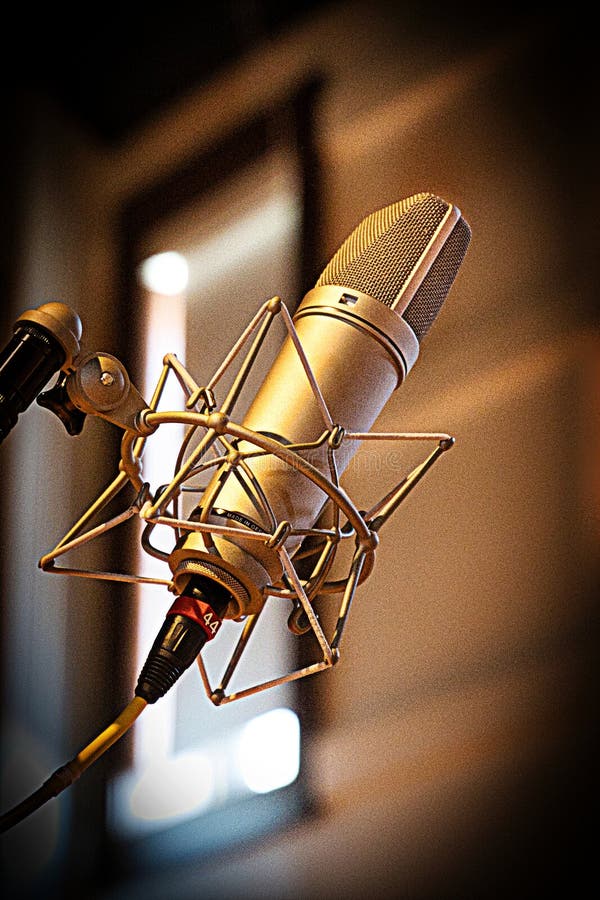 Professional Studio Microphone on a Shock Mount and Stand - Hit Record ...