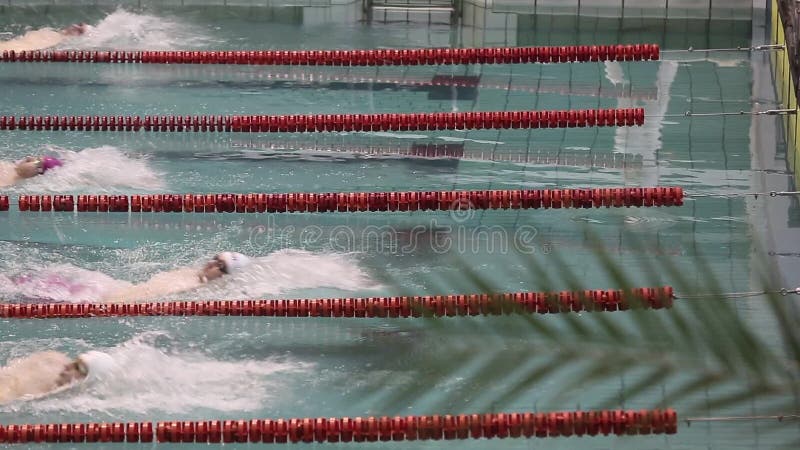 Professional Swim in Swimming Pool, Turn Backstroke Stock Footage ...