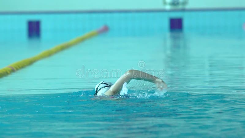 Professional Swimmer Practicing in Water Swimming Pool. Stock Footage ...