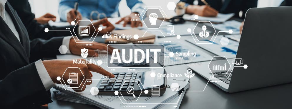 Professional Audit Process with Technology Integration and Data ...