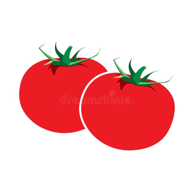 Professional Tomato Vectors and Illustrations Image Stock Illustration ...