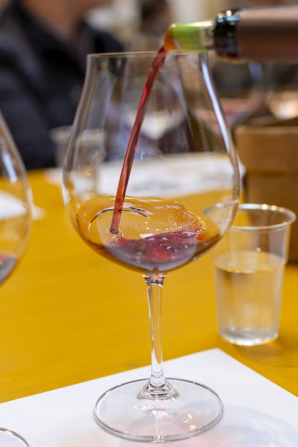 Professional Wine Tasting, Sommelier Course, Pouring of Red Wine in ...
