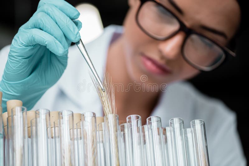 Professional Young Scientist Making Experiment with Test Tubes Stock ...