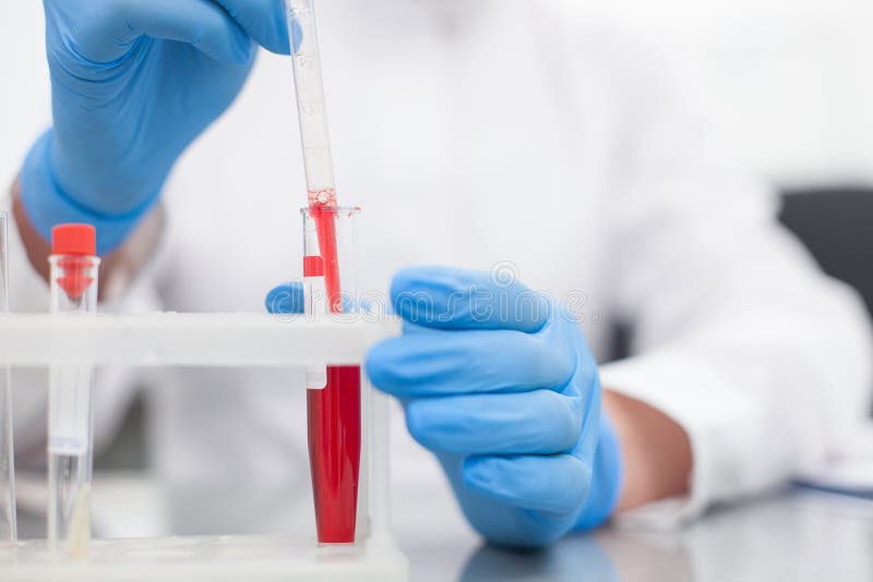 Professional Young Scientist is Testing Samples Stock Image - Image of ...