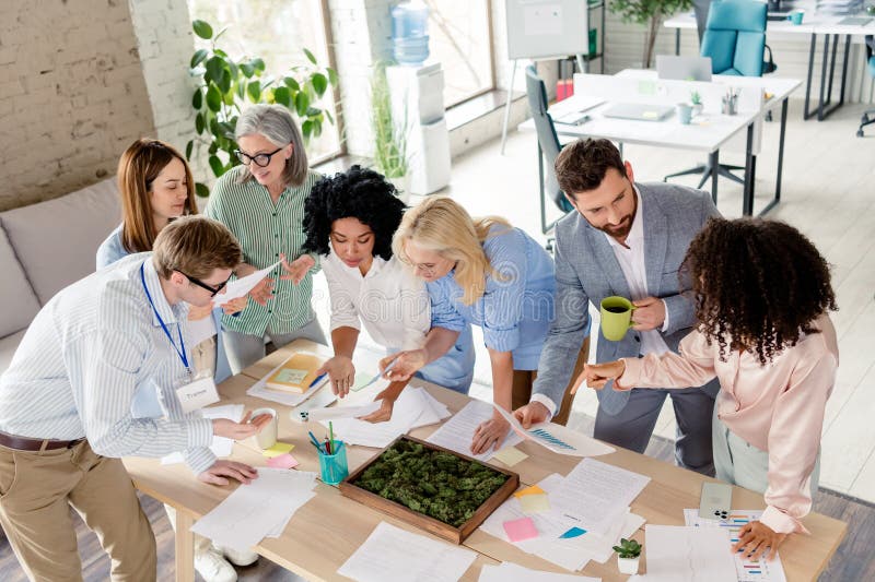 Diverse Team Working Together in a Modern Office Space, Collaborating ...