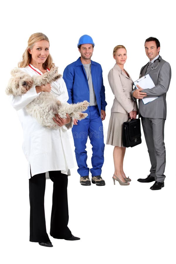 Professionals at work stock image. Image of vertical - 21762579