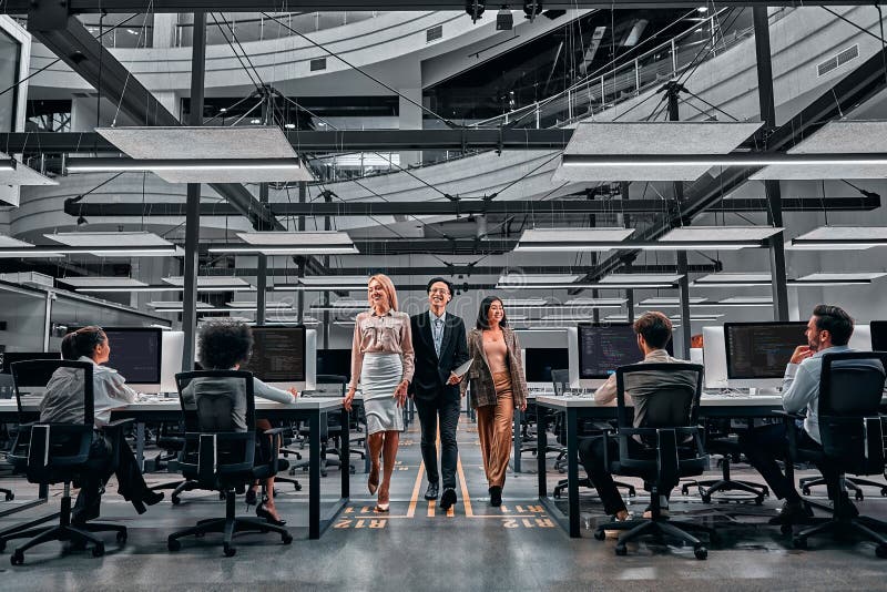 Two Beautiful Successful Business Women Work Together at the Computer ...