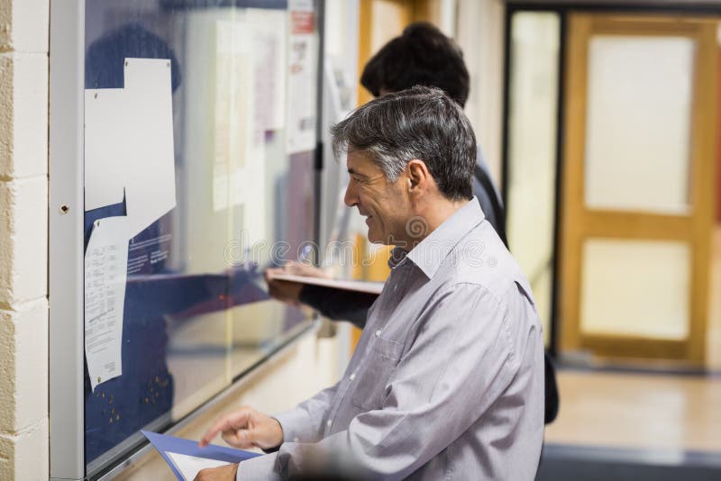 Professor Reading Notice Board Stock Photo - Image of teacher ...