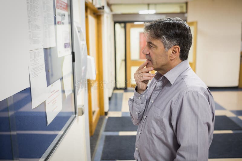 Professor Reading Notice Board Stock Photo - Image of teacher ...