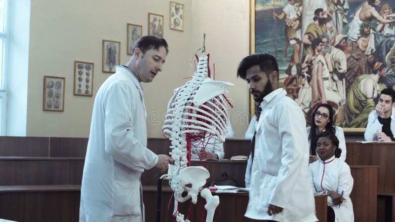 Professor Showing a Skeleton Stock Video - Video of medical, anatomical ...