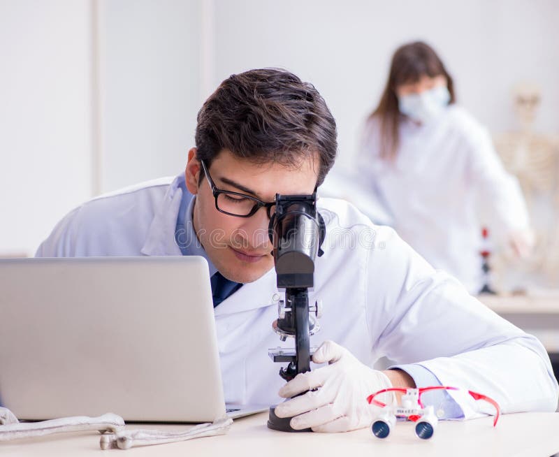 Professor Studying Human Skeleton in Lab Stock Photo - Image of ...