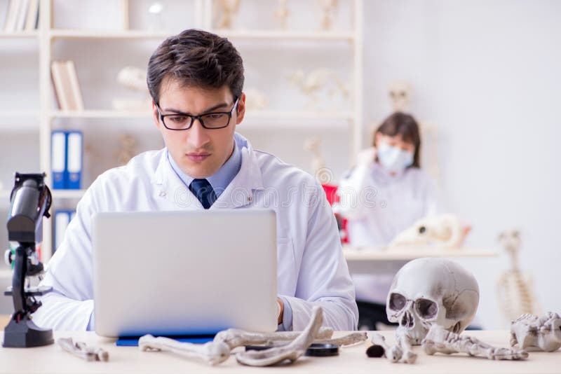 The Professor Studying Human Skeleton in Lab Stock Photo - Image of ...