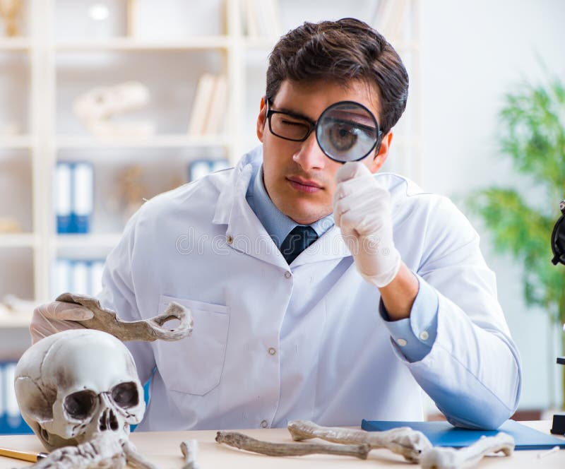 Professor Studying Human Skeleton in Lab Stock Image - Image of ...