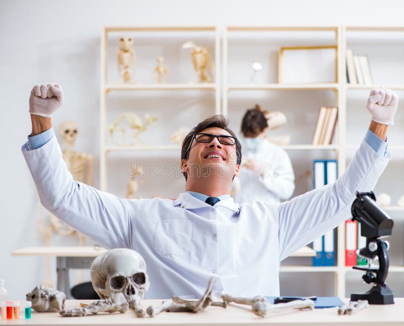 Professor Studying Human Skeleton in Lab Stock Photo - Image of ancient ...