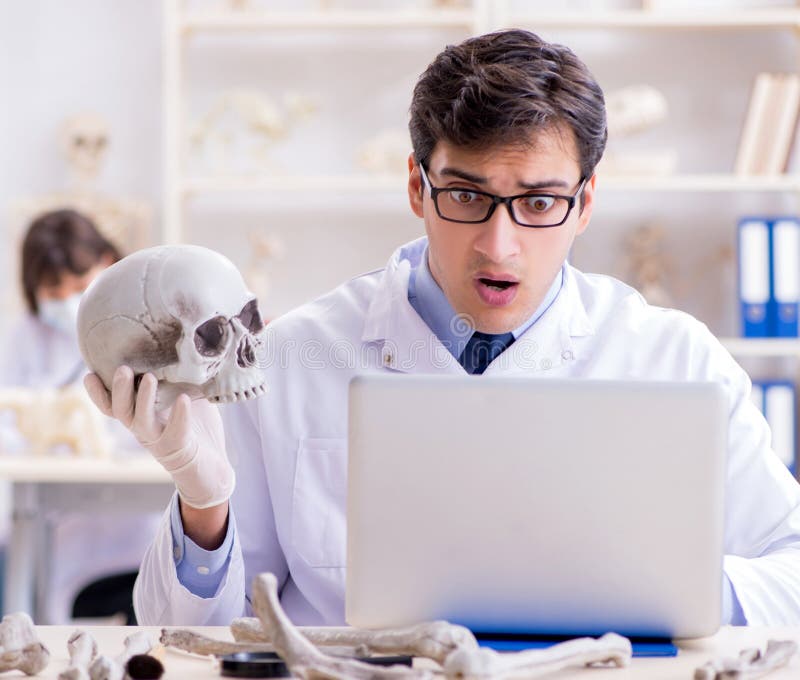 Professor Studying Human Skeleton in Lab Stock Photo - Image of ...
