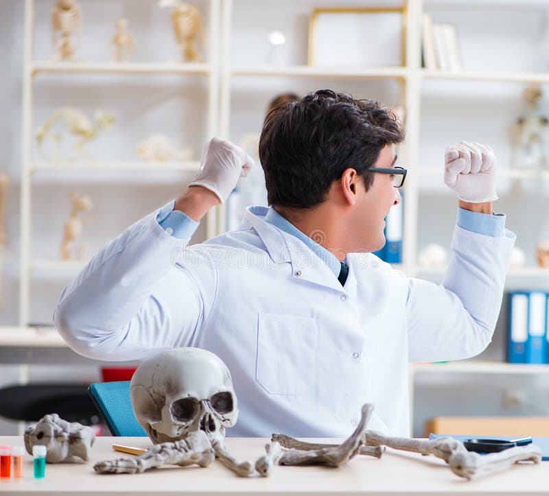 Professor Studying Human Skeleton in Lab Stock Image - Image of ...