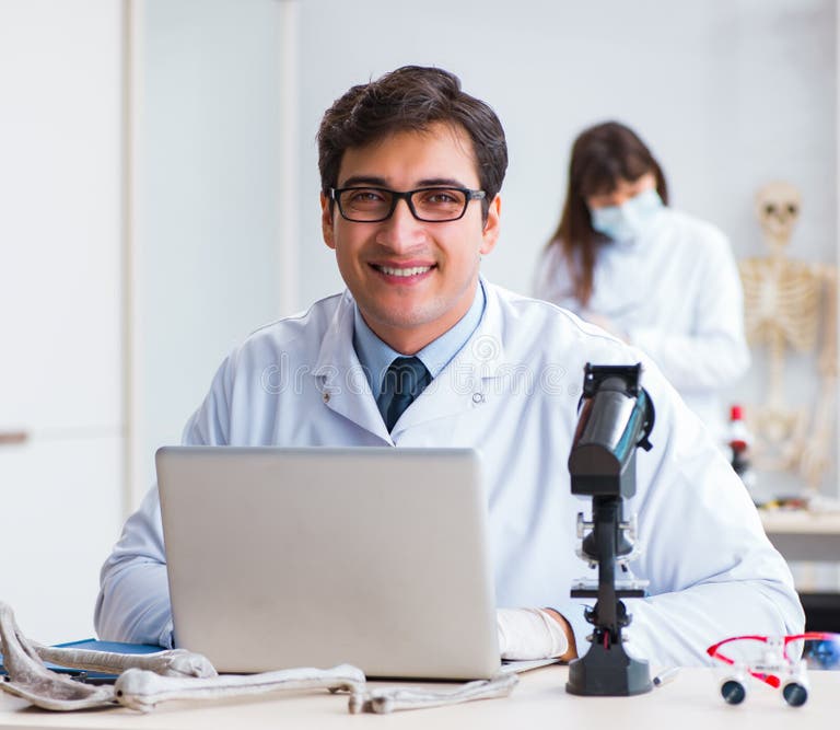 Professor Studying Human Skeleton in Lab Stock Image - Image of ...