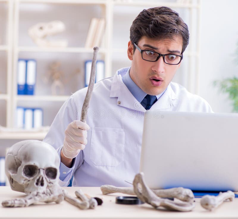 Professor Studying Human Skeleton in Lab Stock Image - Image of bone ...