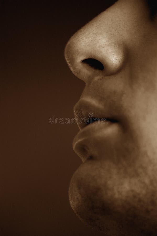 Profile stock photo. Image of stubble, kiss, five, chin - 398724