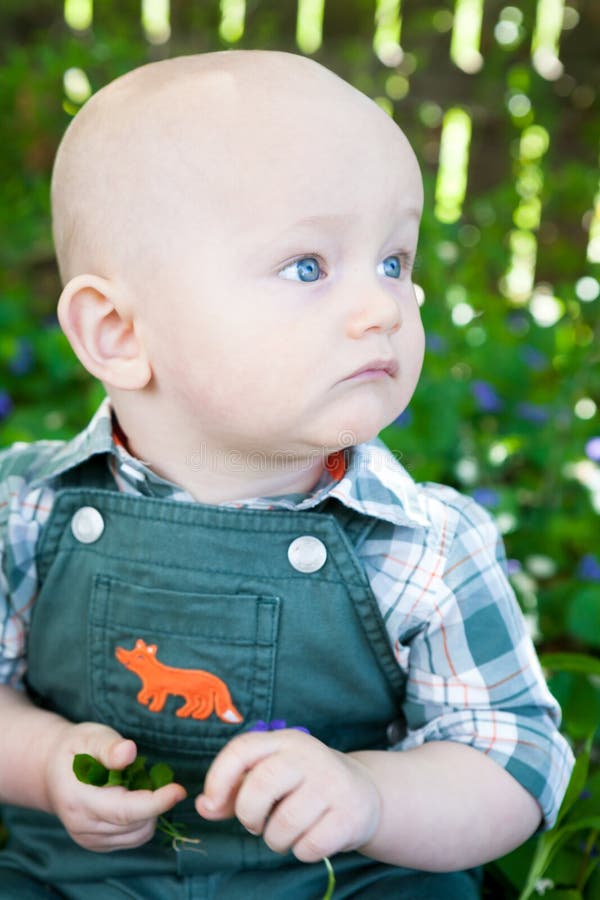 Profile of a baby stock photo. Image of flowers, eyes - 48242854